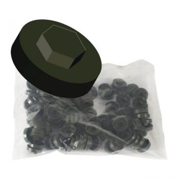 5/16th TEK Screw Colour Caps - Pack of 100
