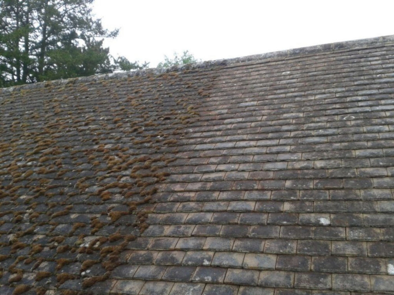 SmartSeal - Roof Revive - 5L