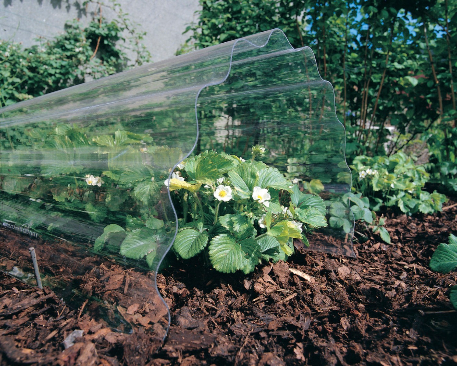 Vistalux PVC Corrugated Sheet - ASB 3" Lightweight - Clear